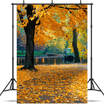 Autumn Leaves Background Backdrop for Photography SBH0634 – Starbackdrop