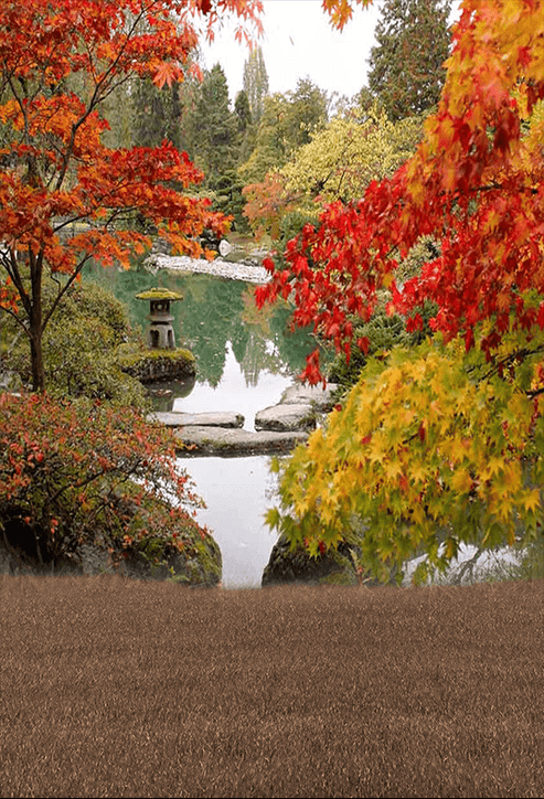 Japanese Fall Park Landscape Backdrop for Photography SBH0641 ...