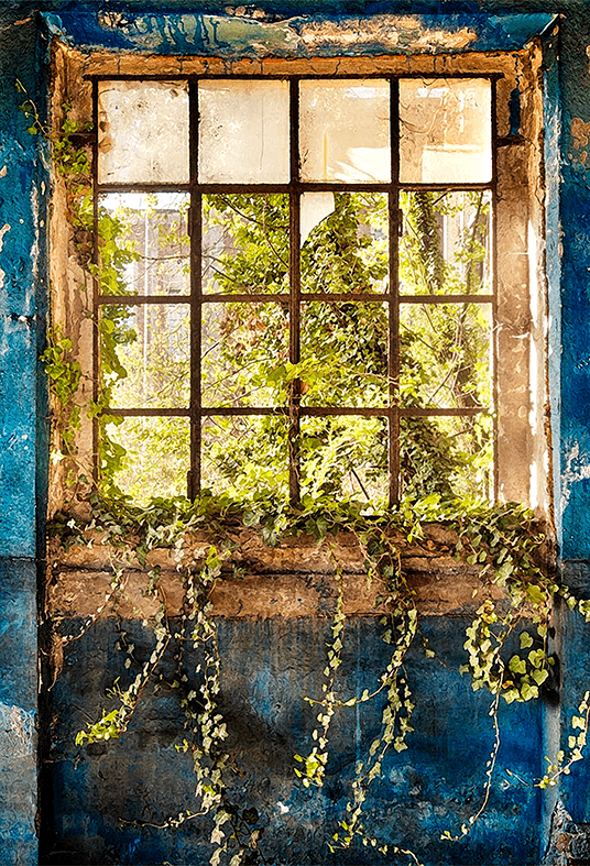 Eternal Spring Verdant Window Scenery Photography Backdrop SBH0730 ...