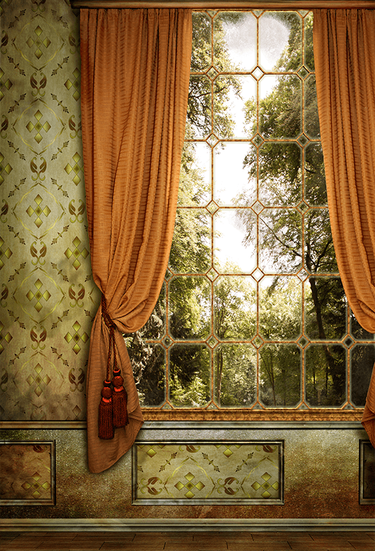 Beautiful Vintage Room with Window Photography Backdrop SBH0291 ...