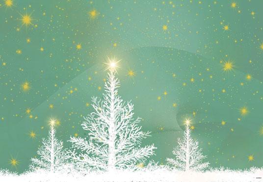 Buy White Christmas Tree Mint Photography Backdrops Online – Starbackdrop