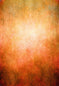 Buy Abstract Bright Portrait Photography Backdrops for Picture Online ...