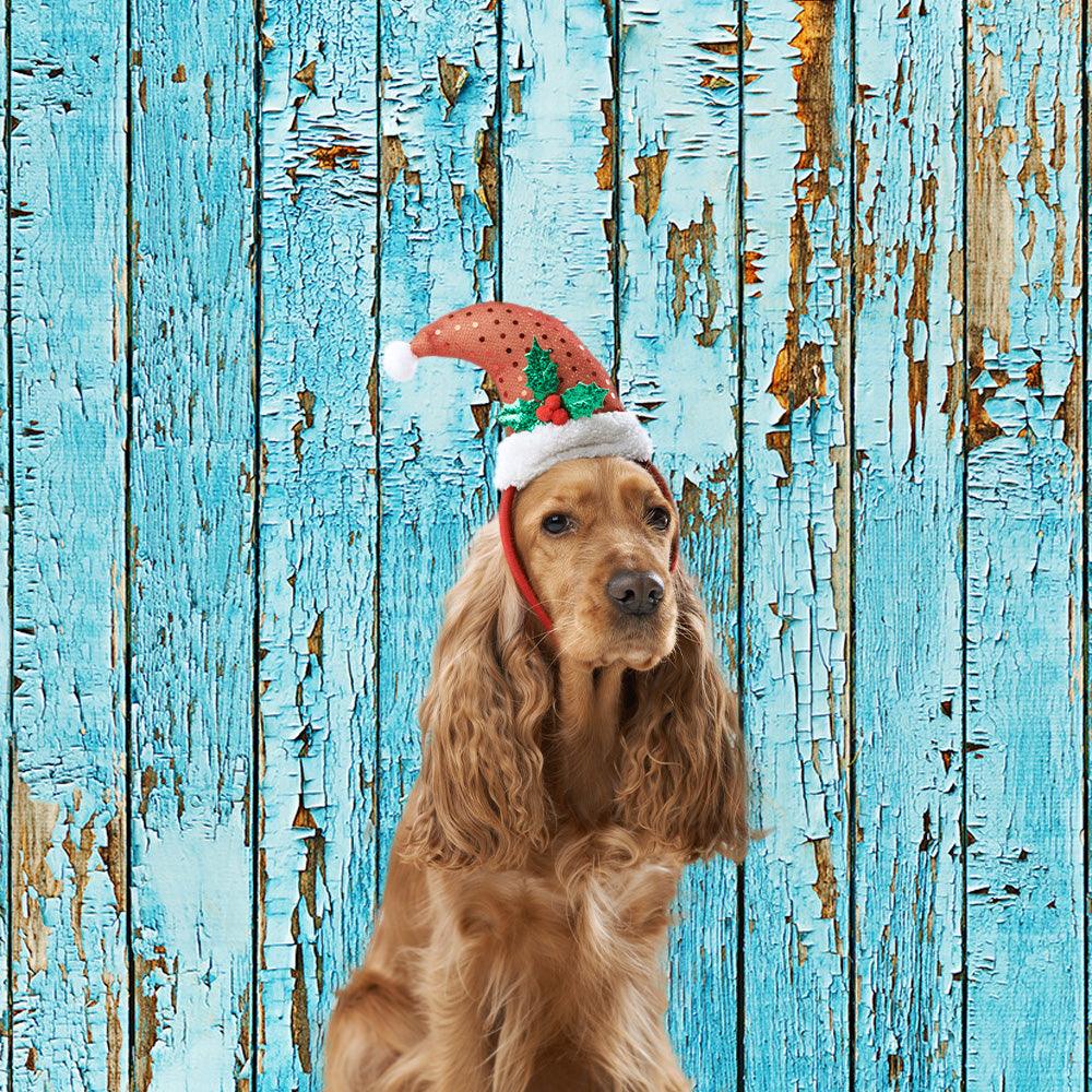 Light Blue Wooden Backdrop Peeling Blue Wood Backdrop for Photo Studio ...