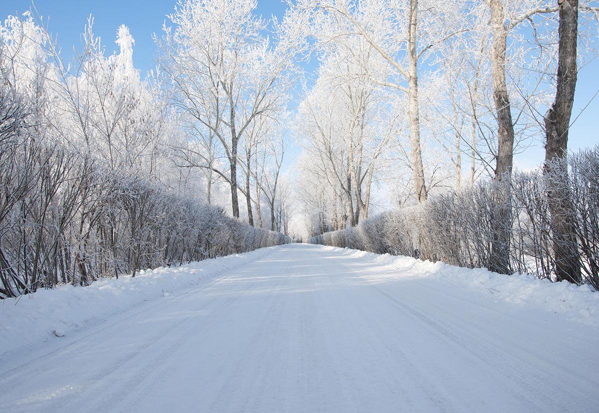 Buy White Snow Road Photography Backdrop for Winter Session Online ...