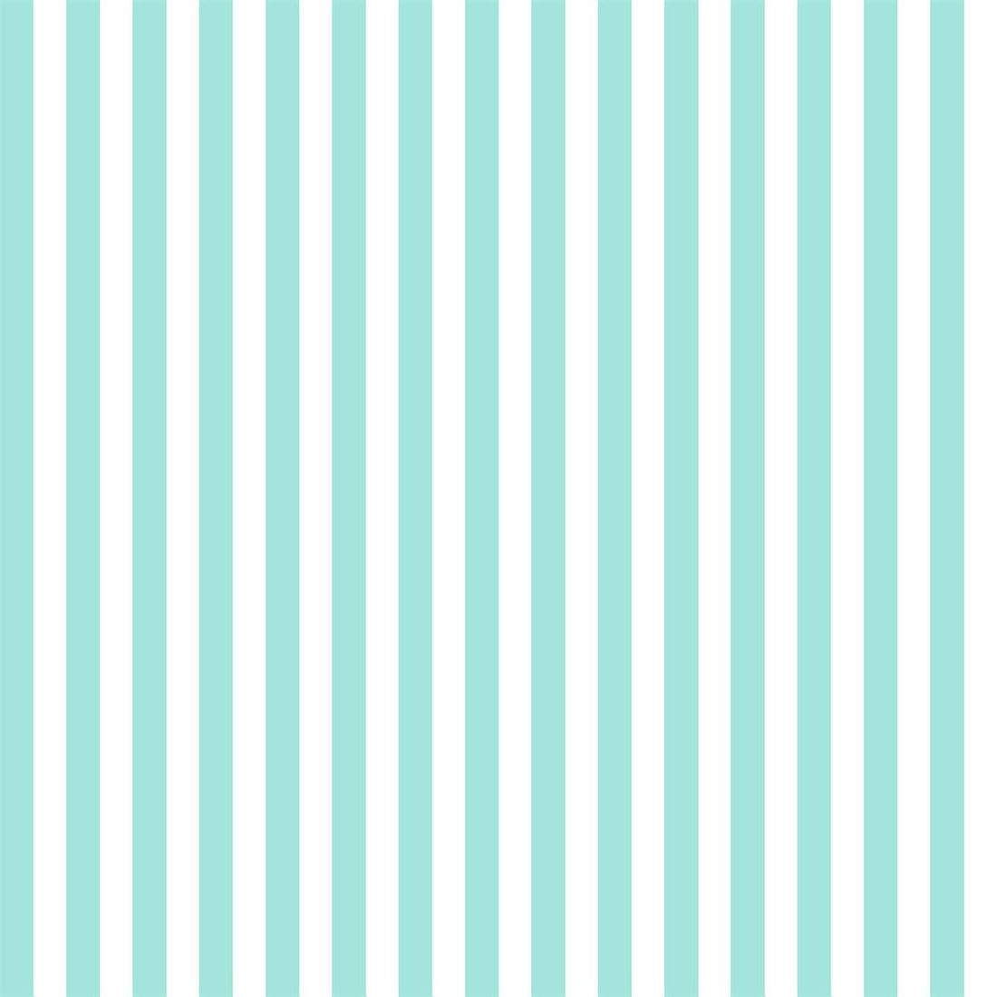 Mint and White Stripes Photo Background Fabric Backdrops – Starbackdrop