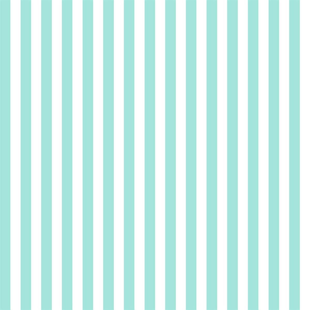 Mint and White Stripes Photo Background Fabric Backdrops – Starbackdrop