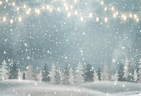 Buy Bright Snow Winter Christmas Backdrop for Studio Online – Starbackdrop