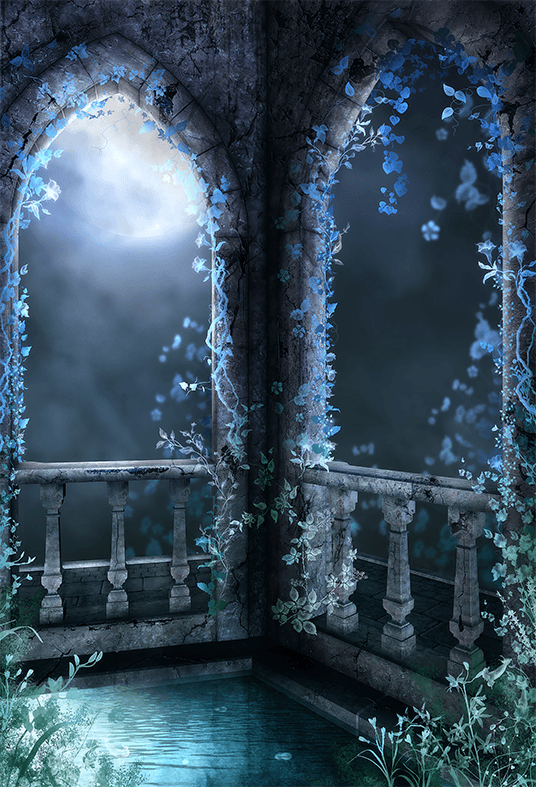Night Fantasy Fairyland Backdrop for Photography SBH0253 – Starbackdrop