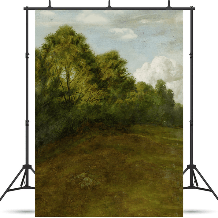 Rural Scenery Oil Painting Photography Backdrop SBH0331 – Starbackdrop